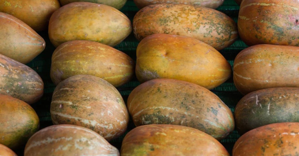 5 Manfaat Buah Blewah untuk Kulit dan Janin - CatatanSehat